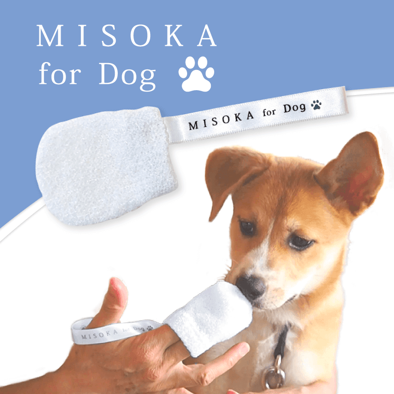 ペット（犬）用 – MISOKA GLOBAL